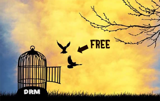 Você sabe o que é DRM-Free? Descubra!
