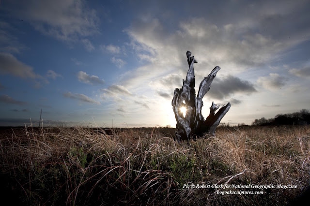 The Ever-Living Ones: Dark Spirits of the Bog