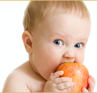 El Cerebro de Niños y Adolescentes: Bebés Obesos