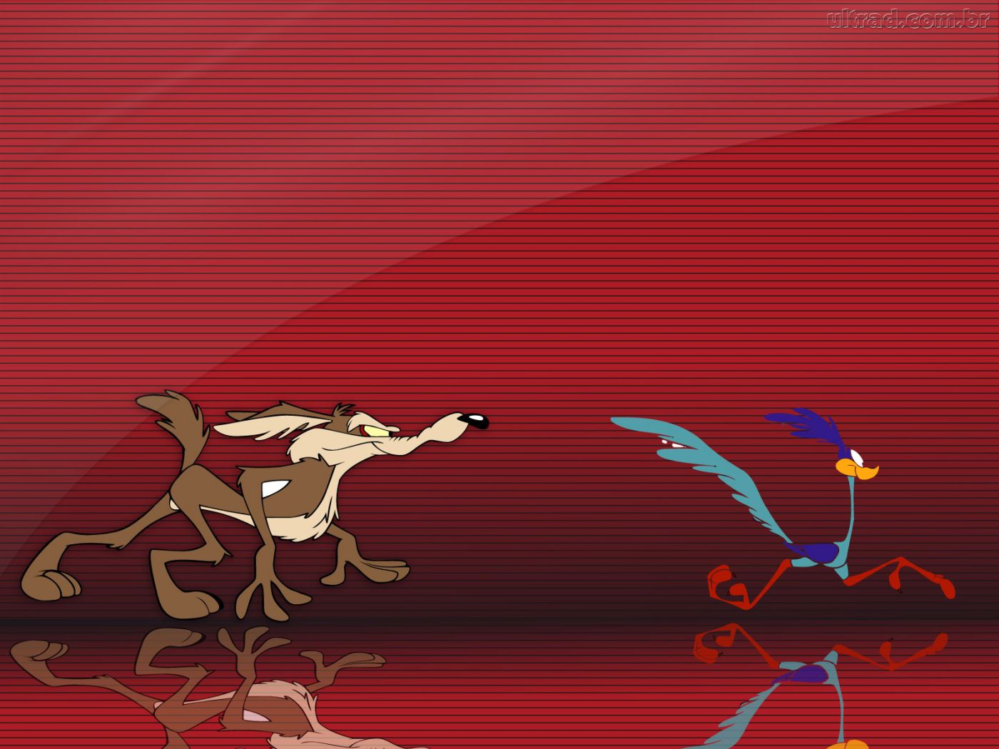 IMAGENSNET: PAPA LEGUAS