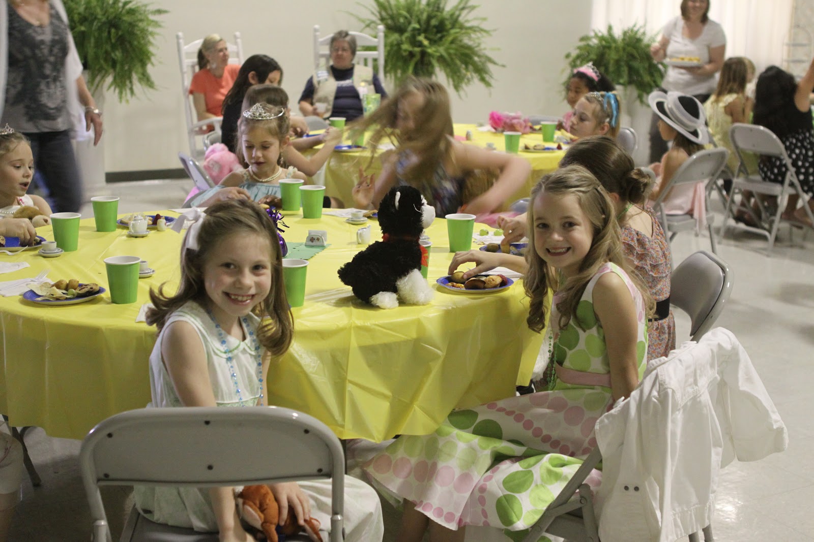 The Hay Clan: Girl Scouts - Teddy Bear Tea Party 2012