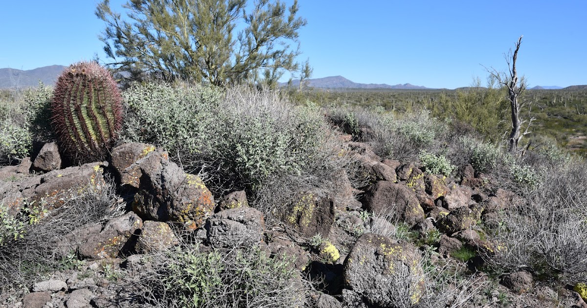 Arizona Hiking: BASALT RIDGE OVERLOOK