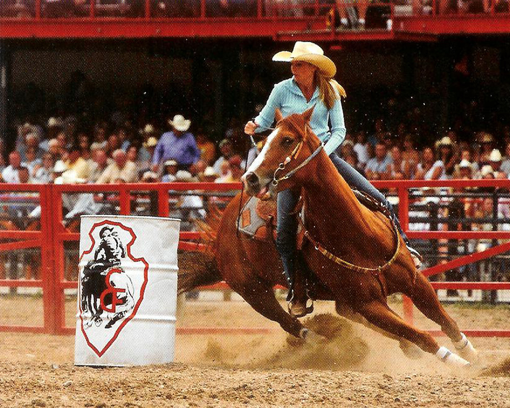 Ridin', Reinin' and Writin': Super Stars of Rodeo
