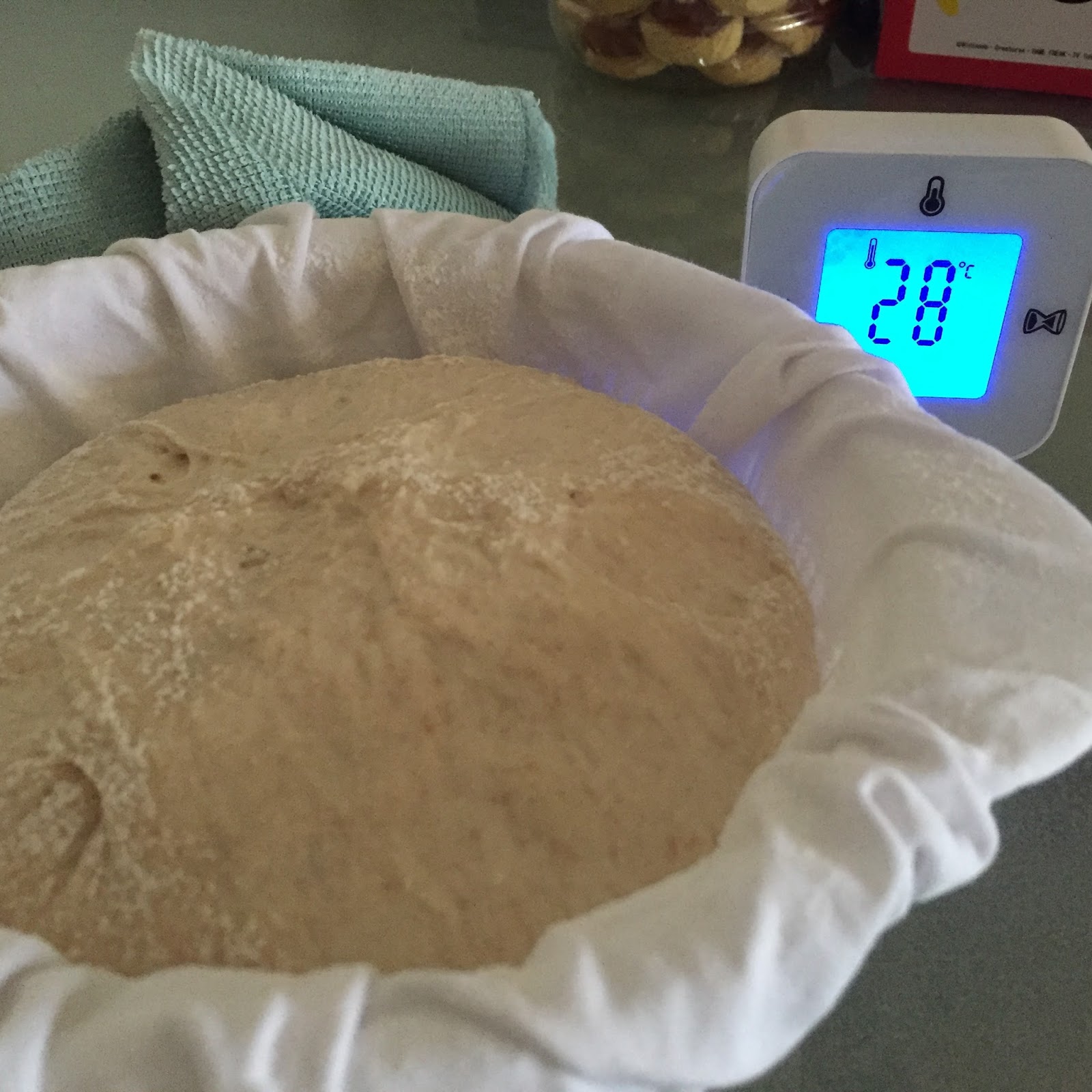 My Mind Patch: Sourdough Lean Boule with 13% Spelt Flour 27 Jun 2017