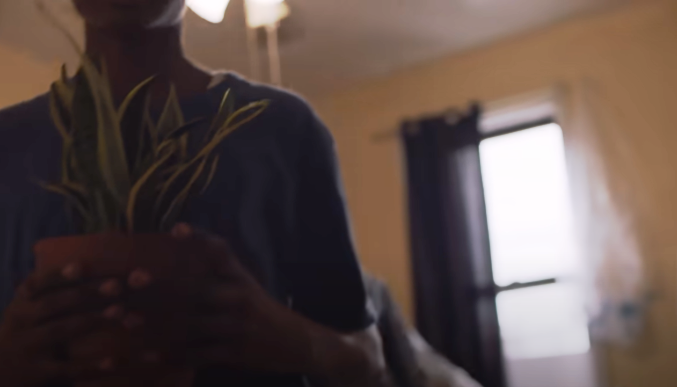 The Wild Reed: Black Pumas’ “Colors”: A Celebration of Family ...