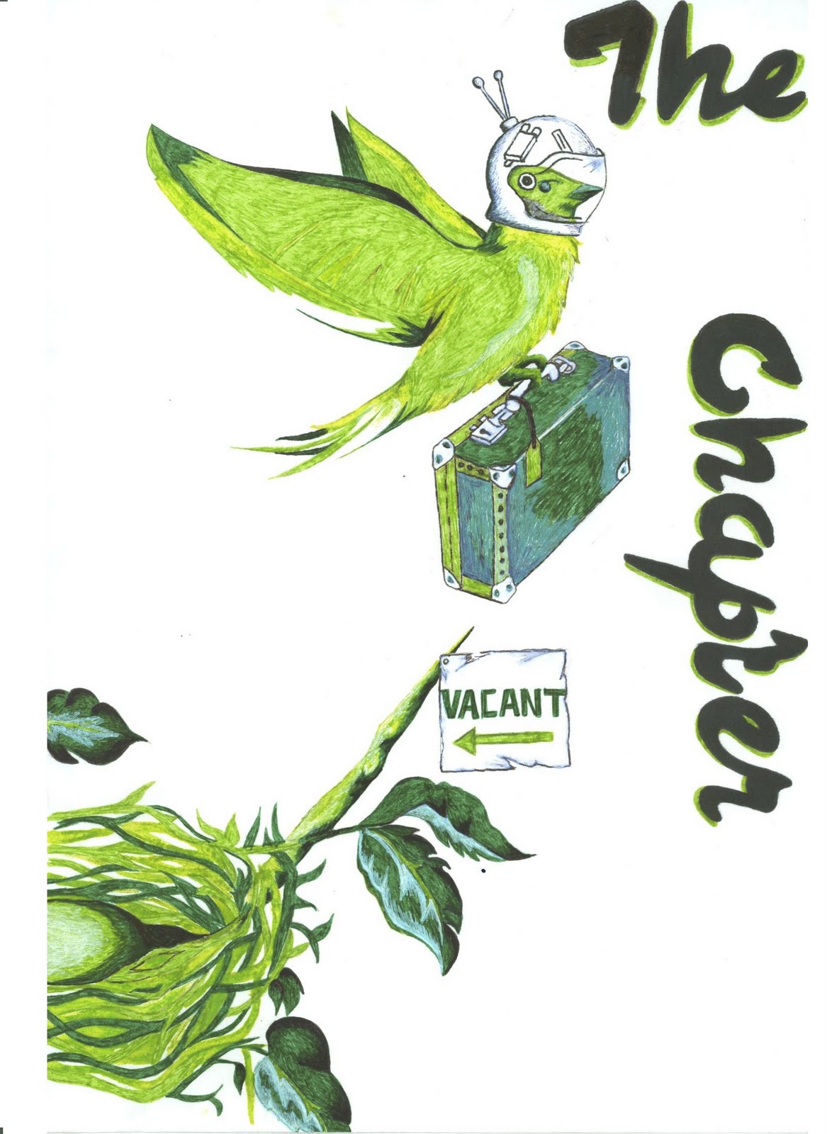 Vicki Fitzpatrick, Final Major Project, Illustration 2011