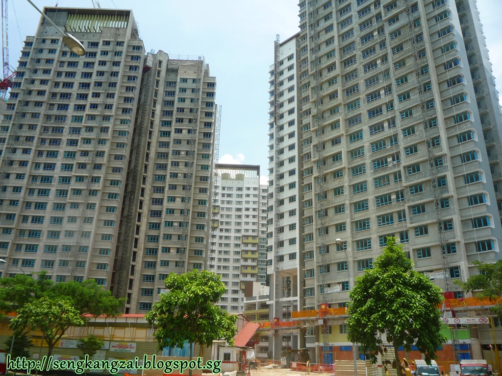 Zai@Sengkang: Fernvale Foliage (Yr 13 Wk 14)