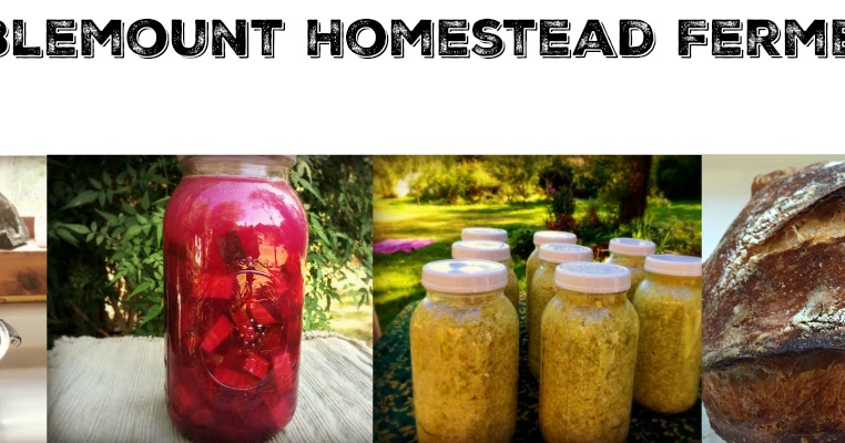 Marblemount Homestead: My online fermentation course - only two more days left to get 10% off