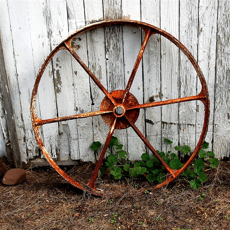 Capadia Designs: Textures and Backgrounds on the Farm