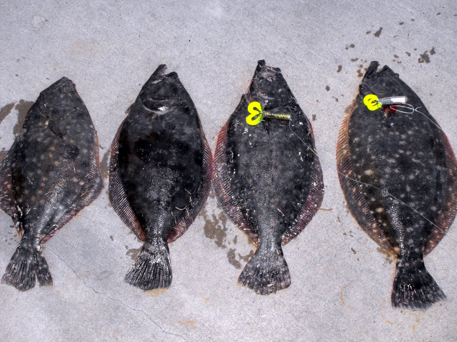Flounder Run in Galveston, TX