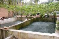 TAPOLINE FISH POND IN NIGERIA / MOBILE FISH POND - KINGSWAY AGRO SERVICES