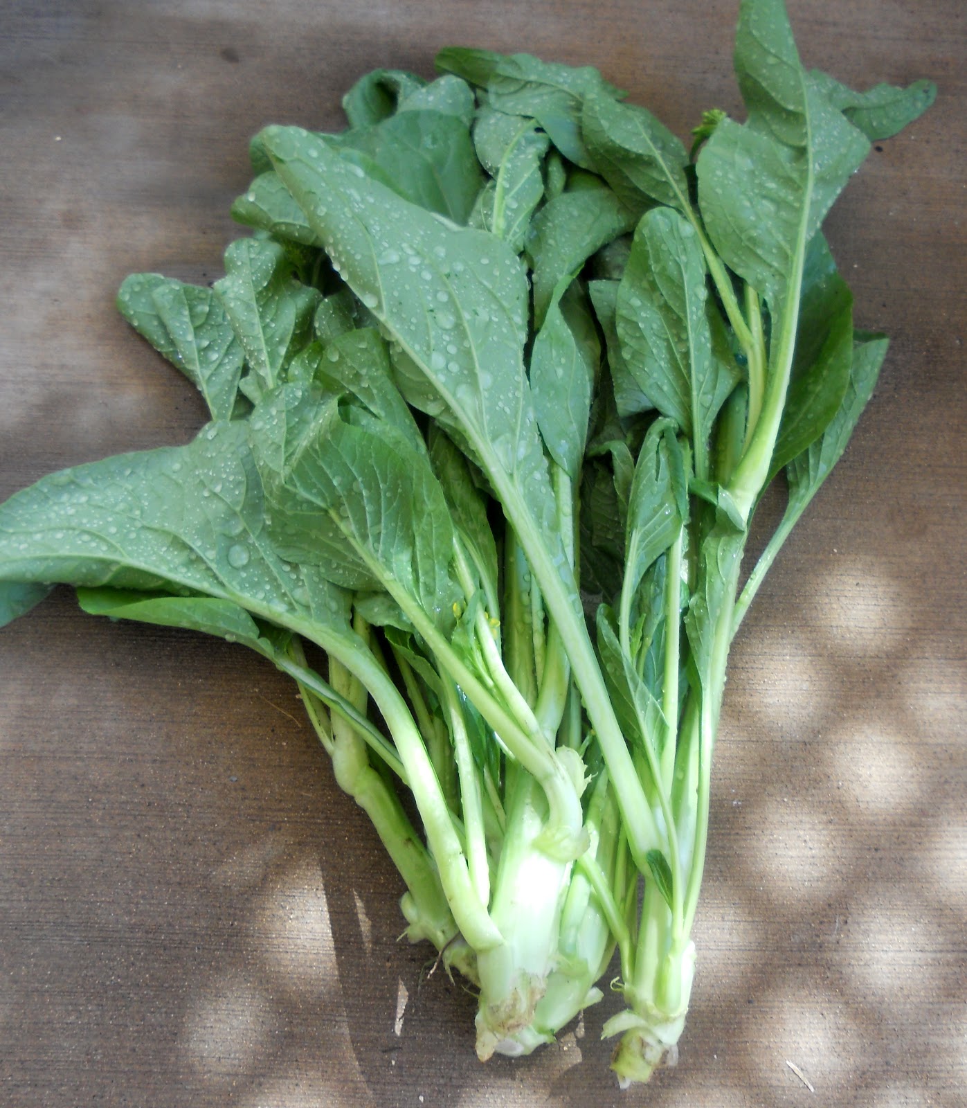 A Kitchen Garden in Kihei Maui: A Few Heirloom Asian Greens