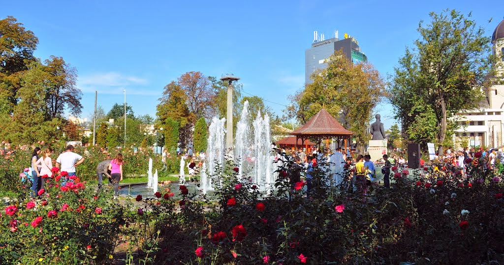 Business,Investments,Bacau,Romania
