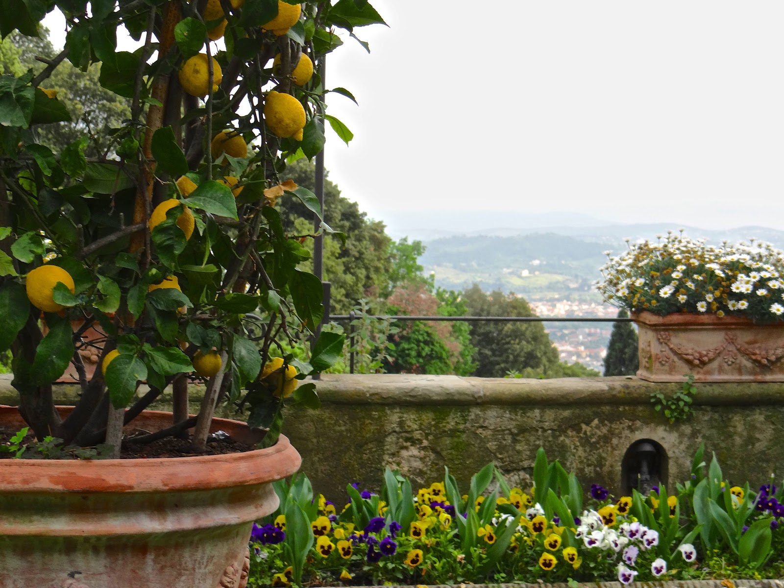 my head space: Florence, Venice & Family: Italy Part 3