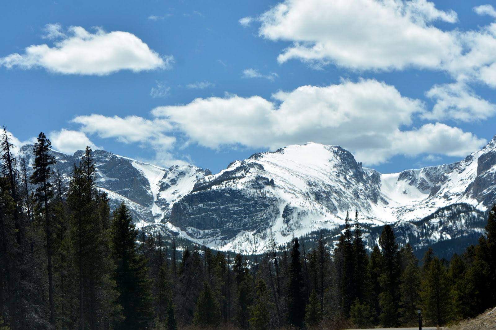Mille Fiori Favoriti: Spring in Rocky Mountain National Park