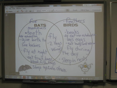 My Favorite Bat Videos and Teaching Resources for the Primary Classroom ...