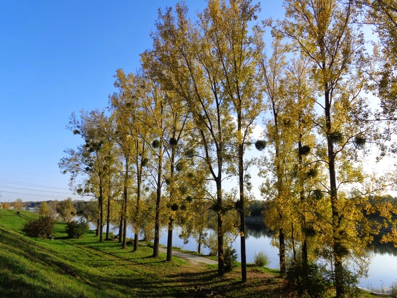 Wanderland Austria: Herbstspaziergang durch die Lobau