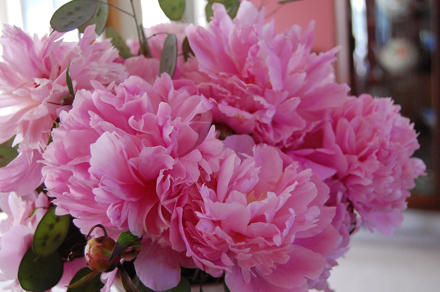 saltbox treasures: Pretty Pink Peonies