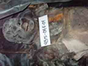 Fosfor Putih : Pengertian, Sifat, Fakta Dan Kegunaanya - JUARA SATU