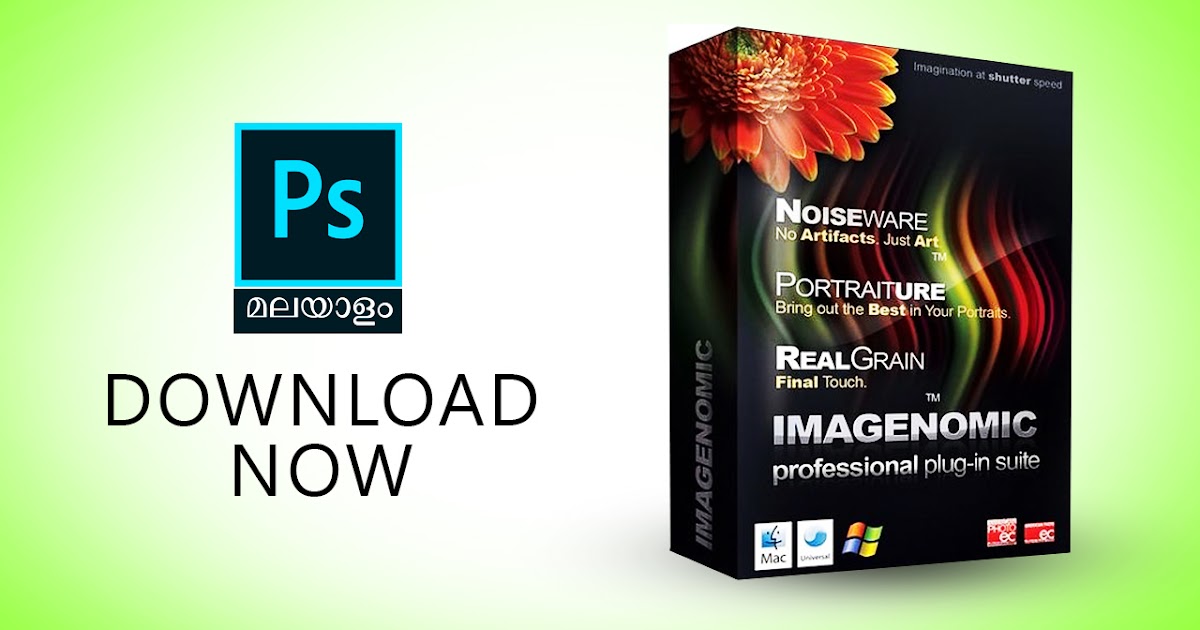 Imagenomic portraiture plugin - geratees