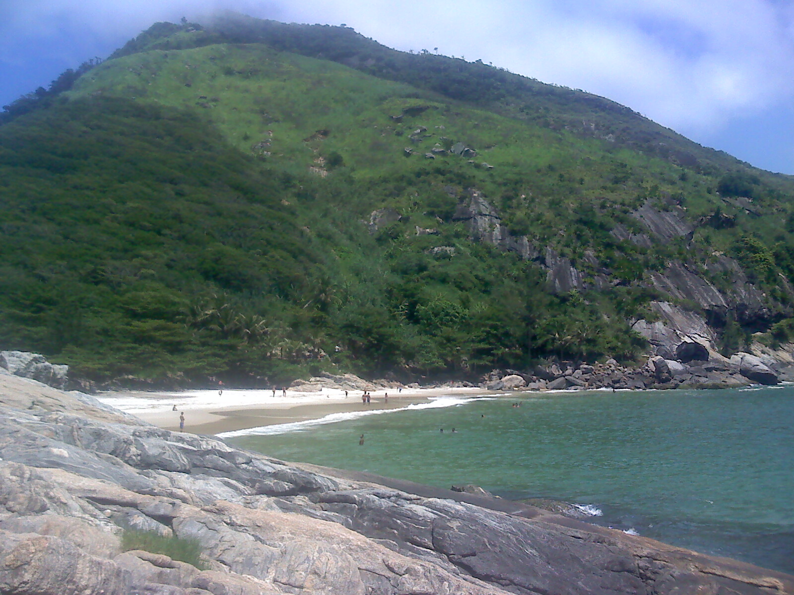 Restinga Da Marambaia