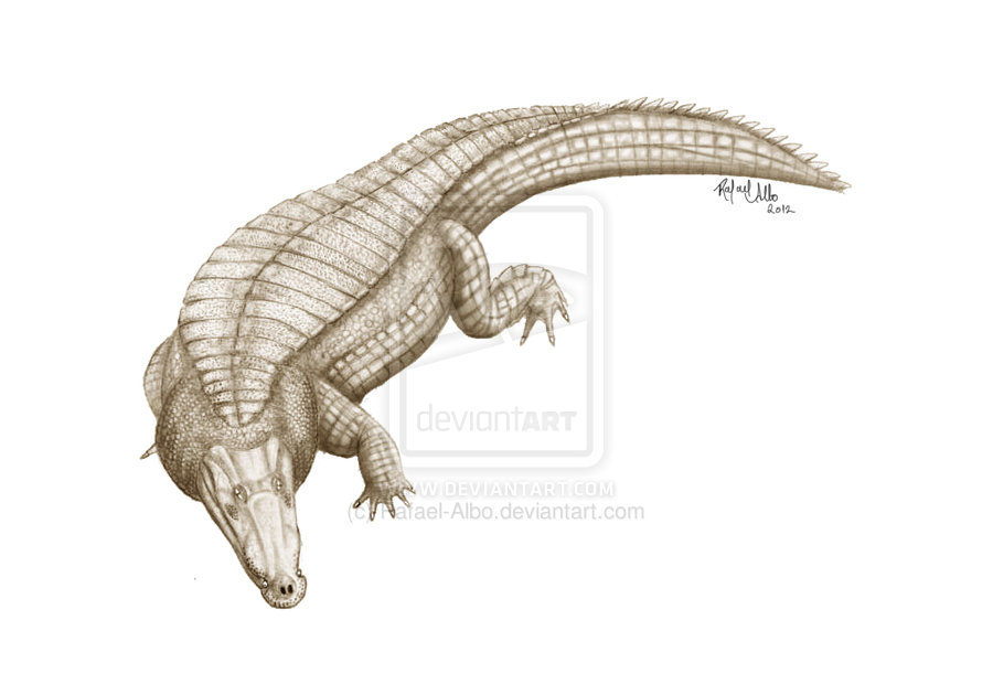 Escenarios prehistóricos: Goniopholis