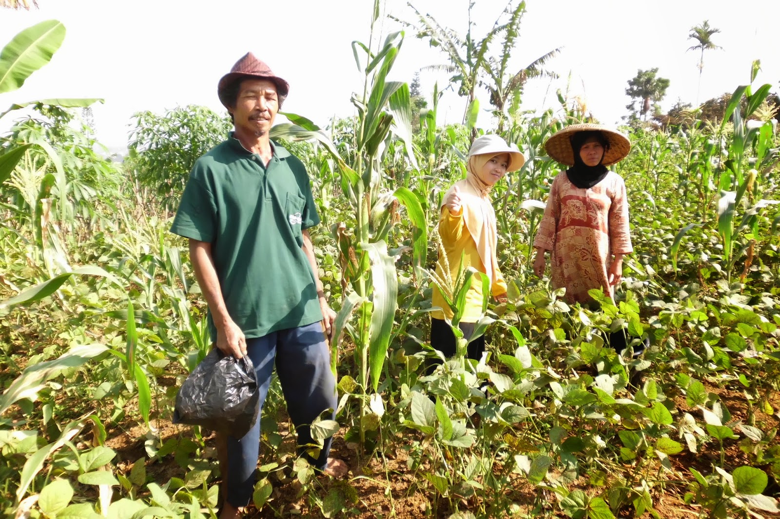PAGUYUBAN SAUNG TANI: PETANI KEDELAI EDAMAME