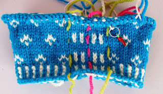 Kiwi Knits: Yeek! Steeks!