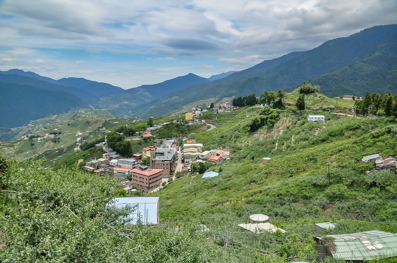 Tea Masters: Spring 2016, the legend of Lishan Oolongs