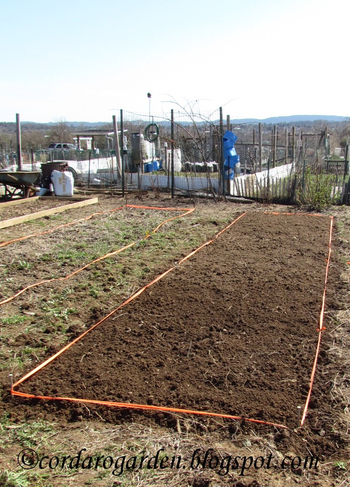 The Gardener of Eden: Almost Finished Digging at the Plots!