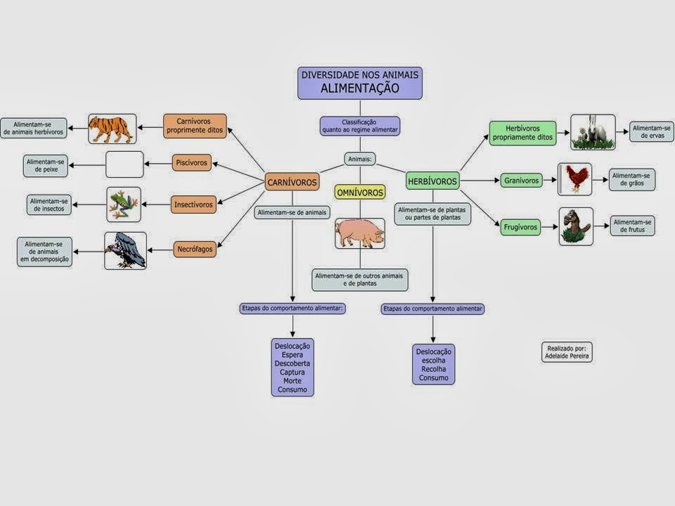 Mapa Mental Sobre Classificação Dos Seres Vivos - FDPLEARN