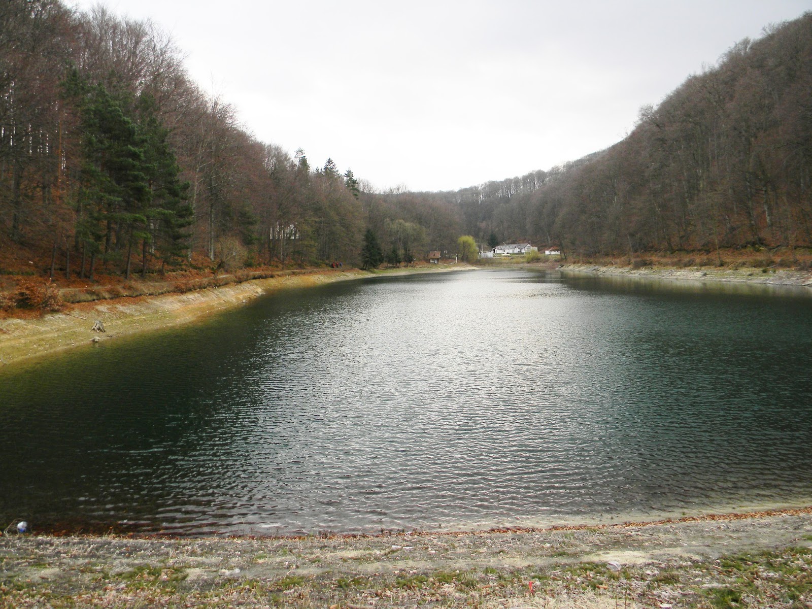 Blog de Calatorii si Drumetii Montane.: Lacul de la Codlea ,jud.Brasov ...