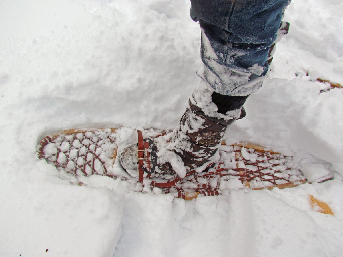 The Agatelady: Adventures and Events: One of our Best Snowshoes Ever