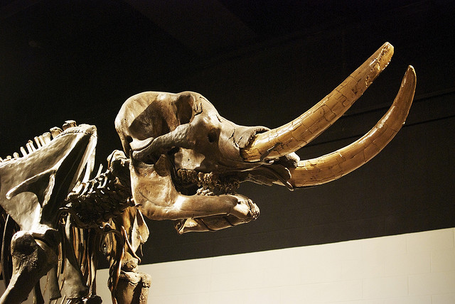 INTERNET BOOK CLUB: The Mastodons of My Youth