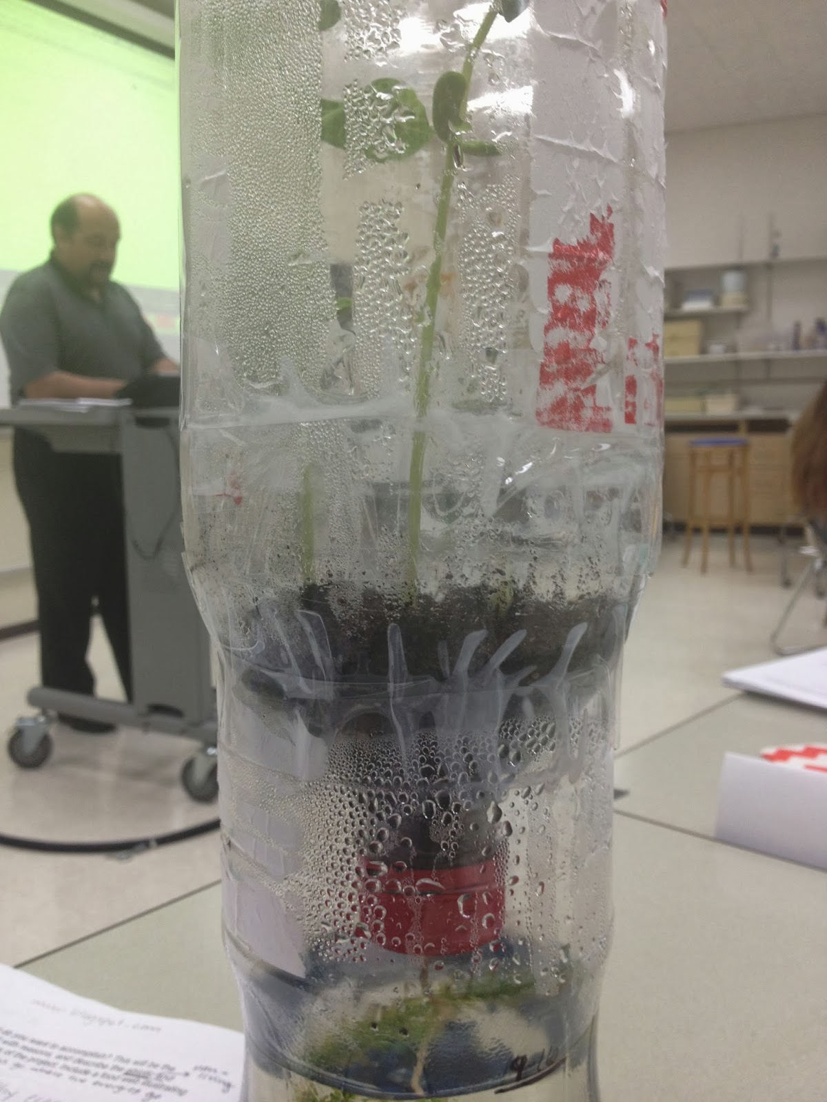 Ecosystem in a Bottle: Ecosystem in a Bottle: Week 2