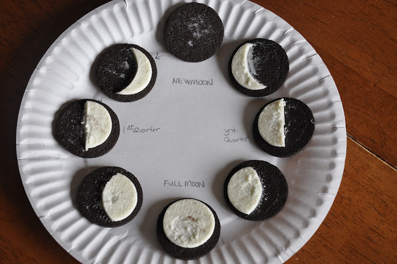 Oreo Moon Phases