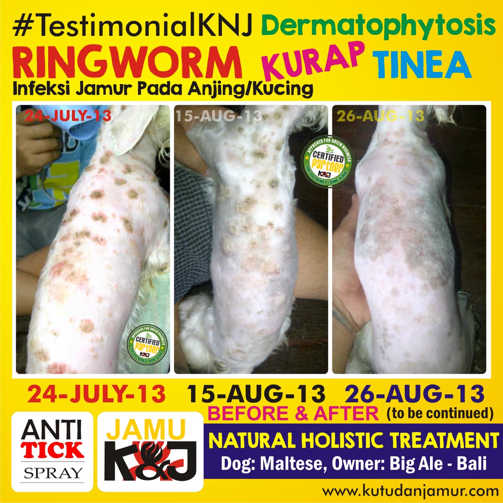 www.kutudanjamur.com: Ringworm, Dermatophytosis, Kurap, Infeksi Jamur ...