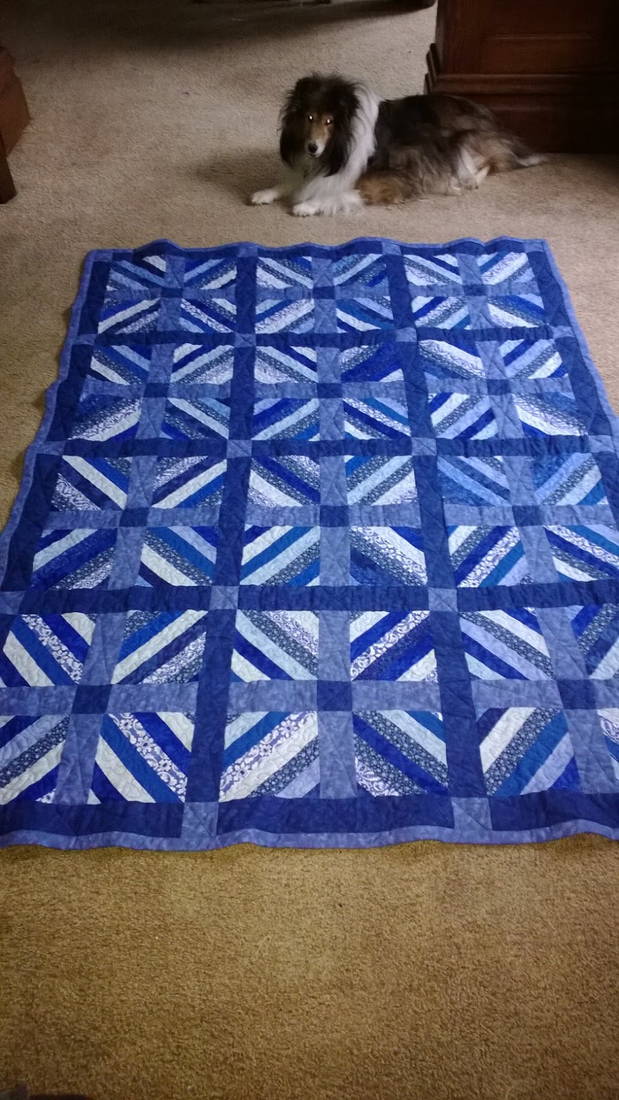 What A View!!! : Quilting with Mary Fons of Fons and Porter