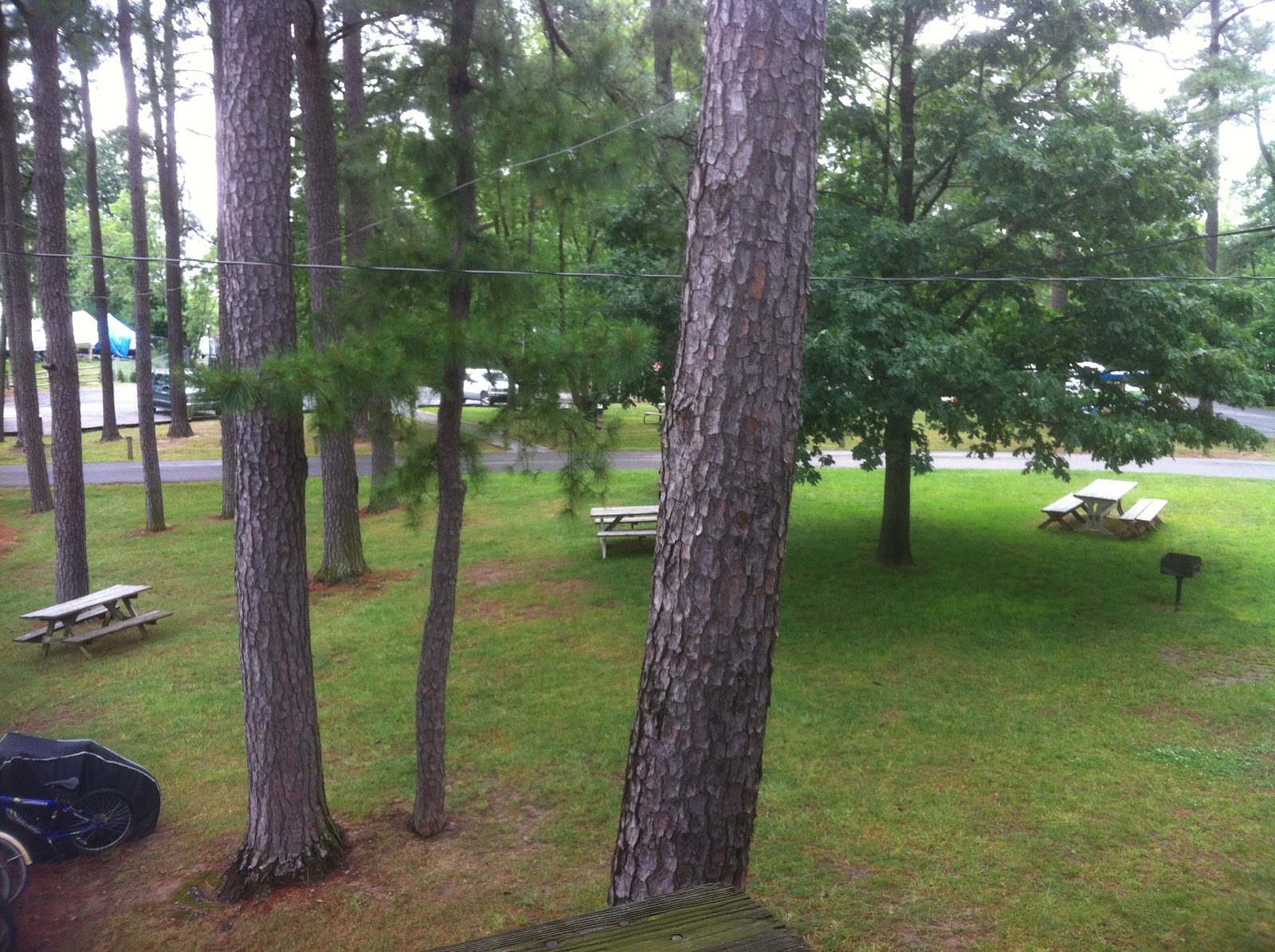 The Great Loop On Karma: Solomons Island