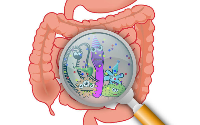 Los Parasitos - NSP Medicina Alternativa