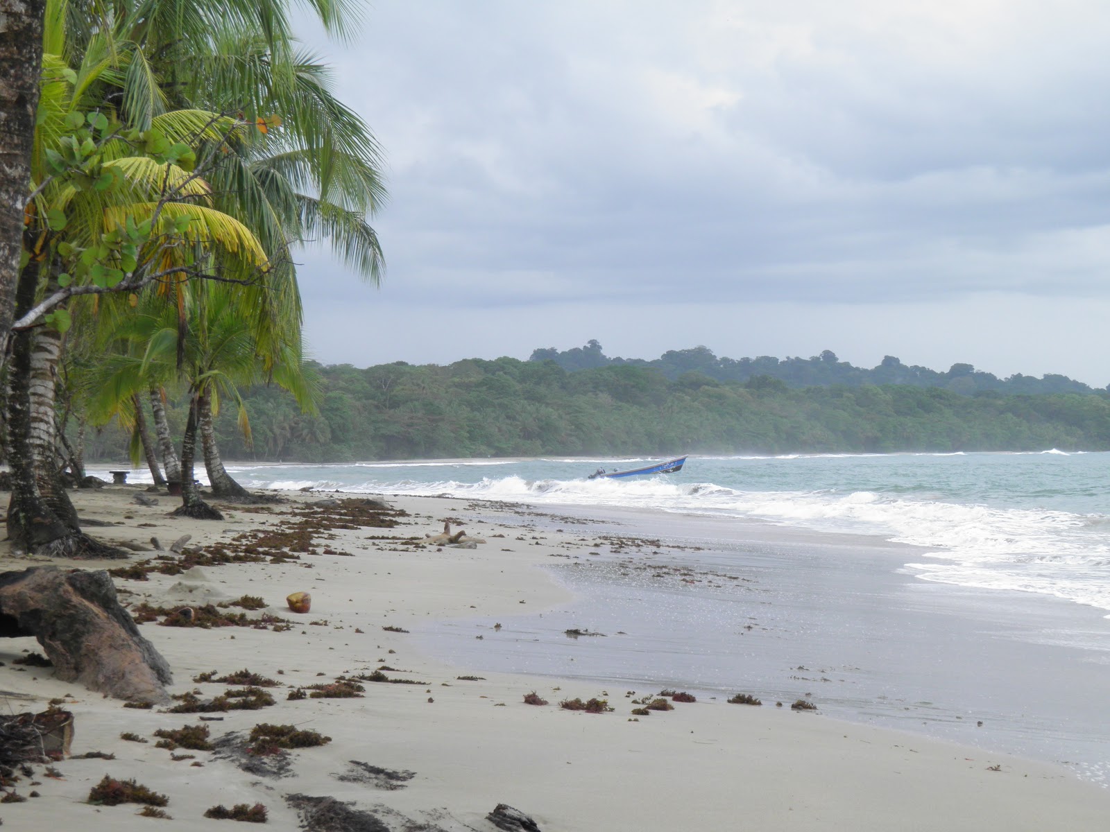 Manzanillo: Manzanillo