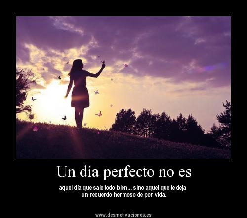 Reflexiones de Medio Día: UN DÍA PERFECTO