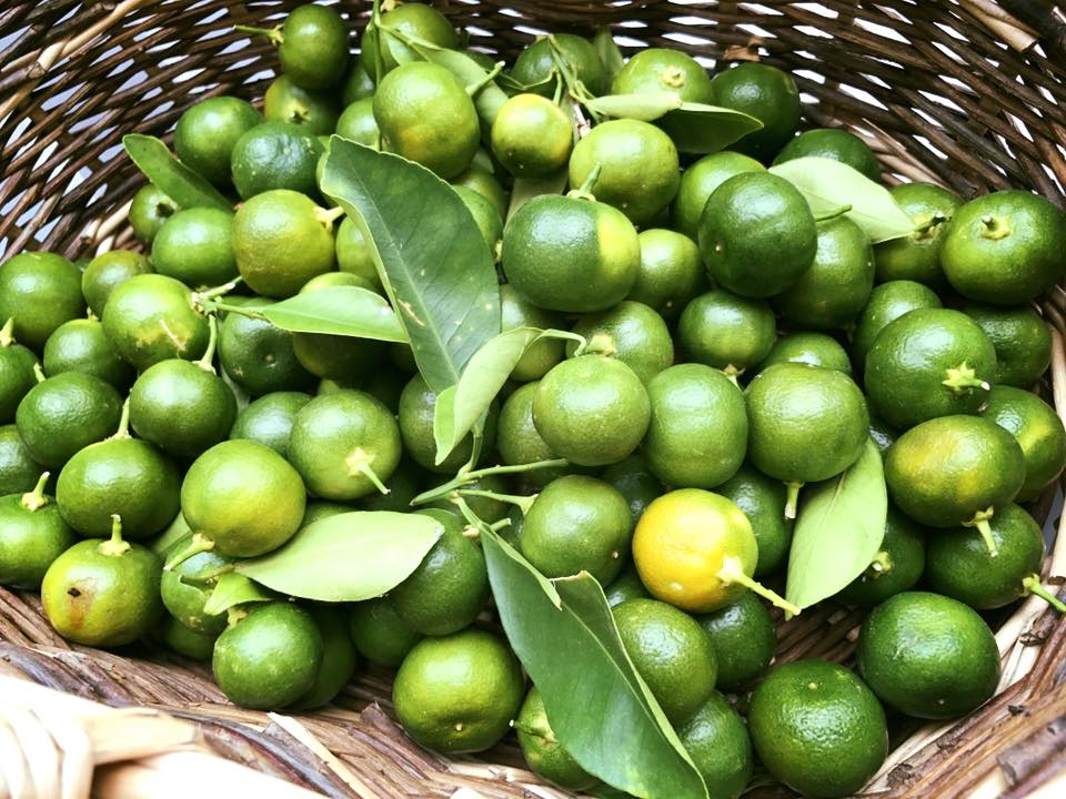 Casa Baluarte Filipino Recipes: Sinigang na Bangus sa Kalamansi