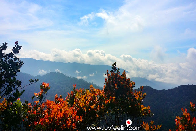 Gunung Bunga Buah 花果山遥望云顶高原 - 乐飞翎 ♥ LUVFEELIN