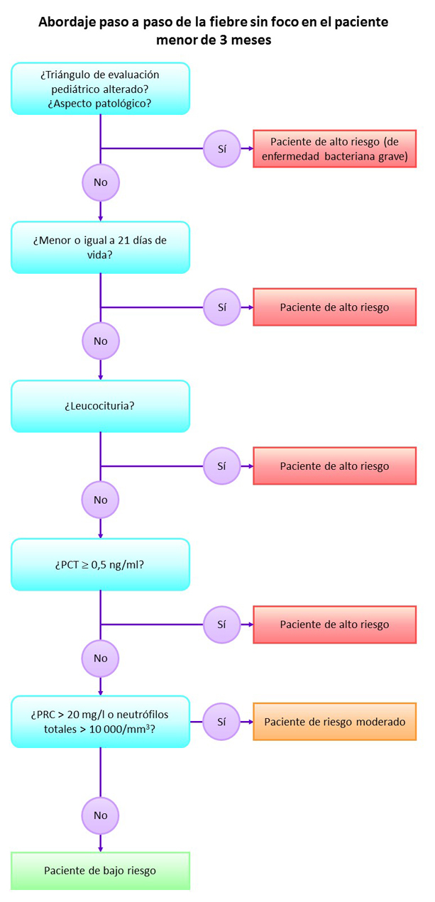 Docencia De Pediatria CHUS: Step by step approach para fiebre sin foco ...