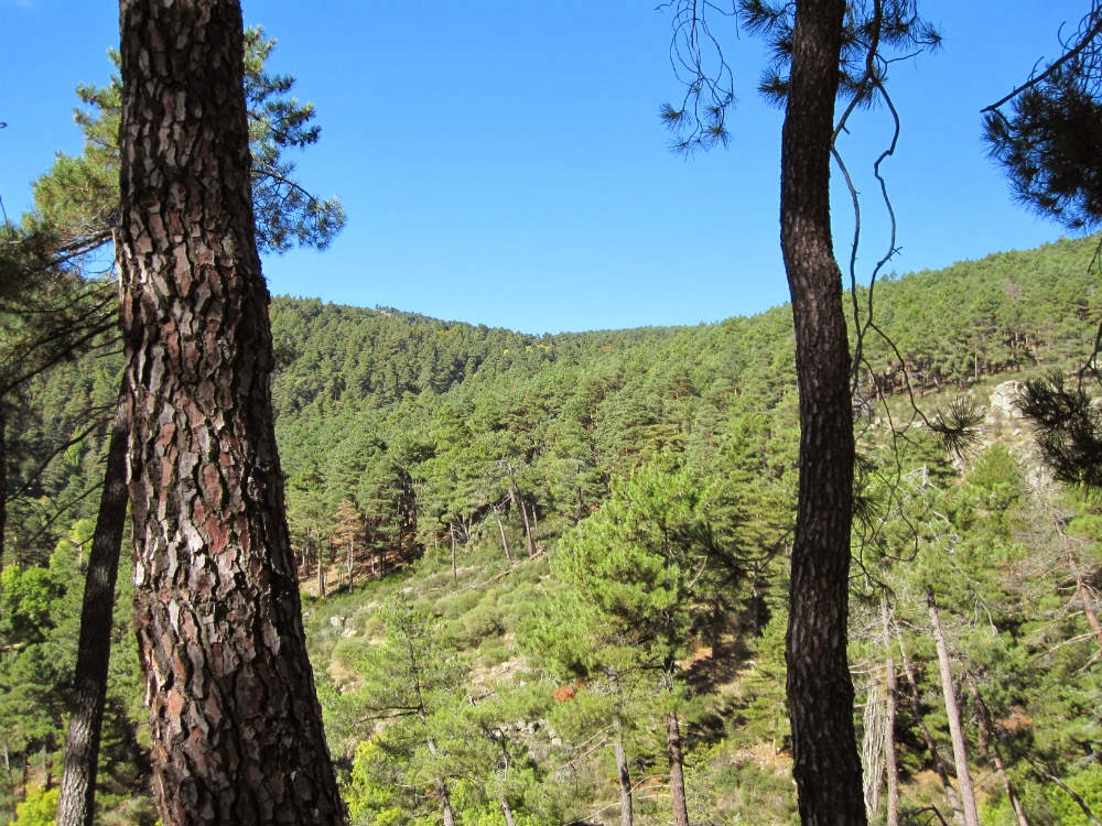 OTRO DIA PERFECTO: A VISTA DE ABANTOS