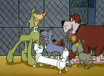 Mi infancia y la de todos: Que vida de perros (Les Jules: Chienne de vie)