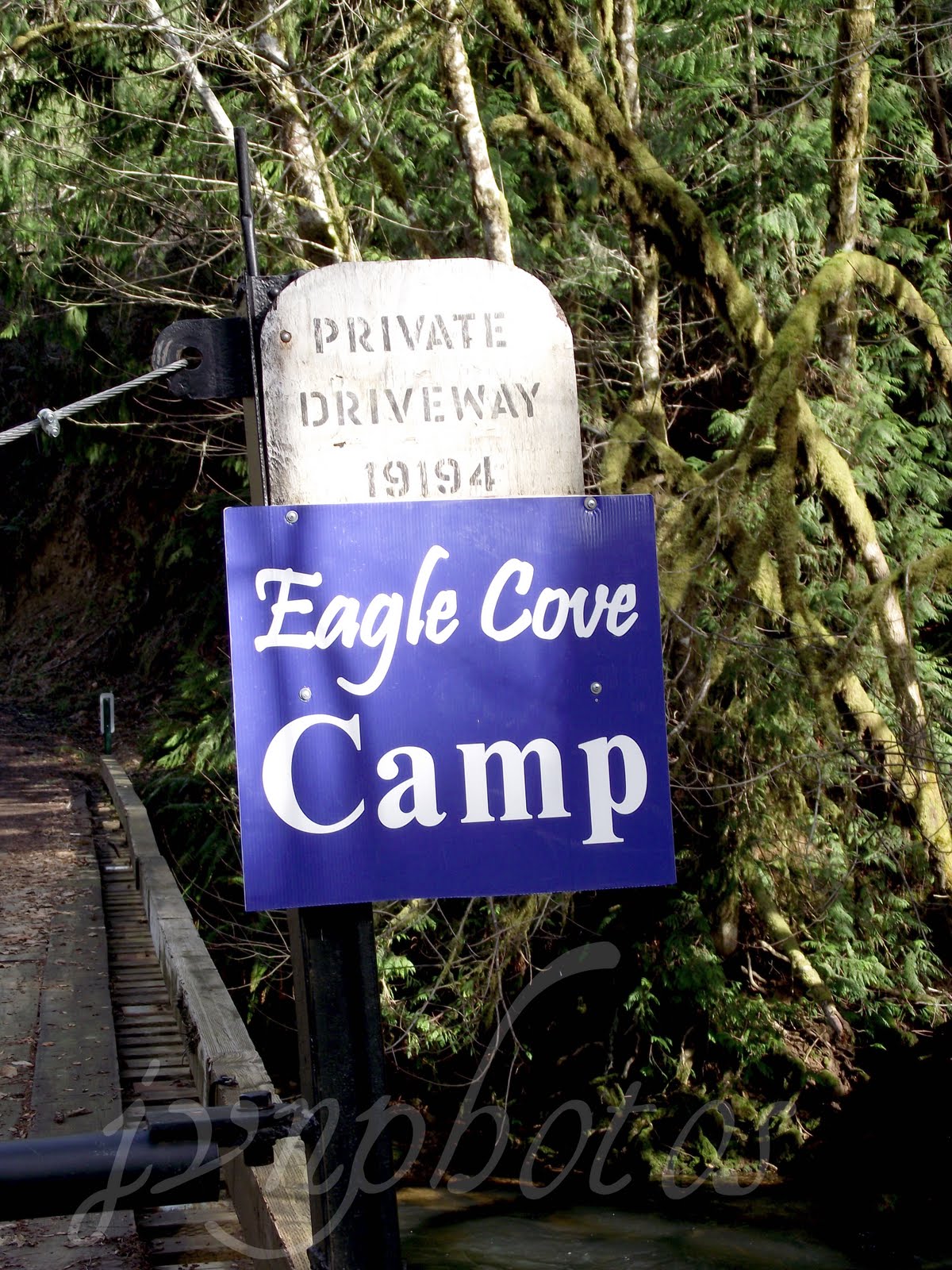 Photos by Jan: Triangle Lake, Oregon and Further Adventures