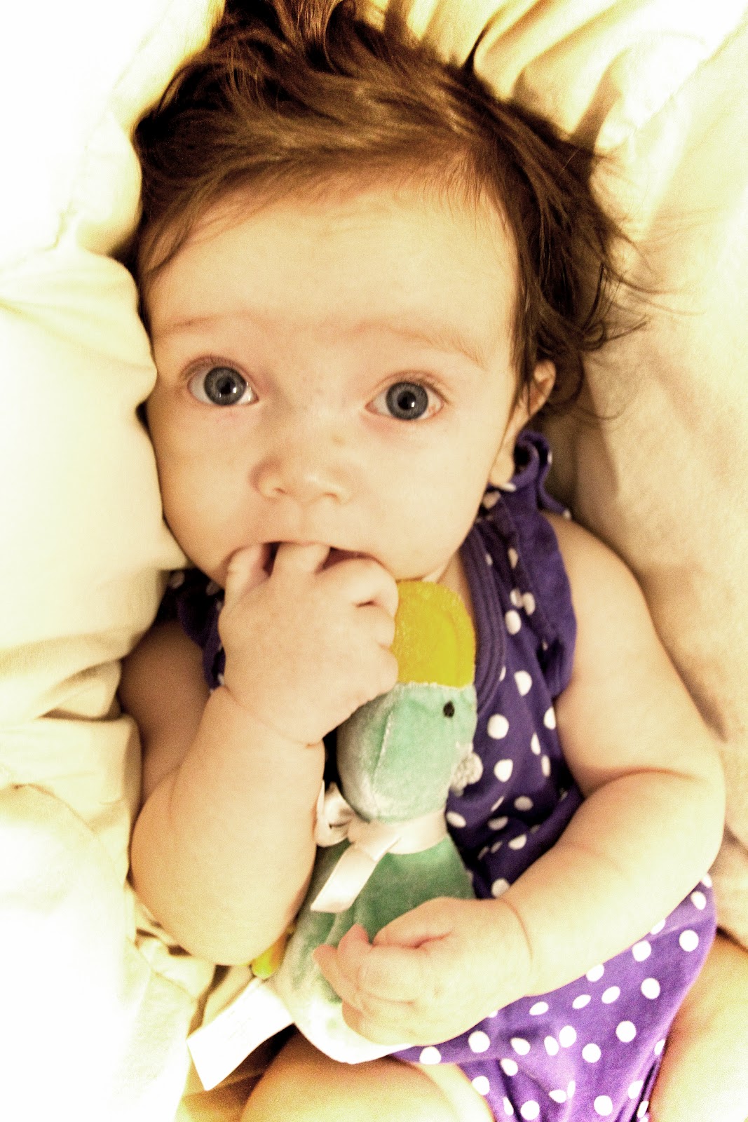 Photography With Emily: Milestones: Baby {R} 6 months