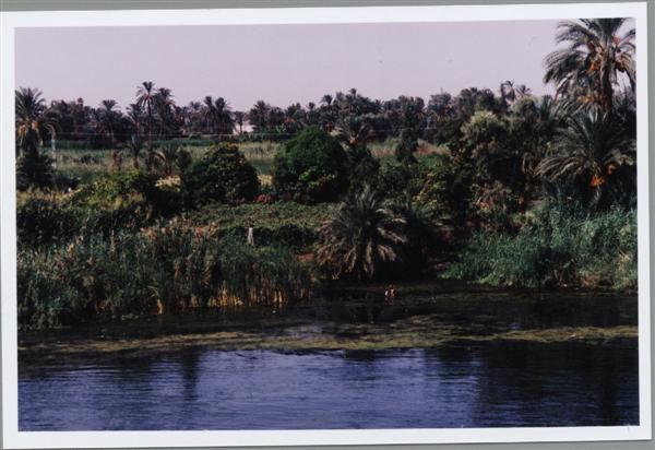 PEKEHISTORIA: EGIPTO , EL DON DEL NILO